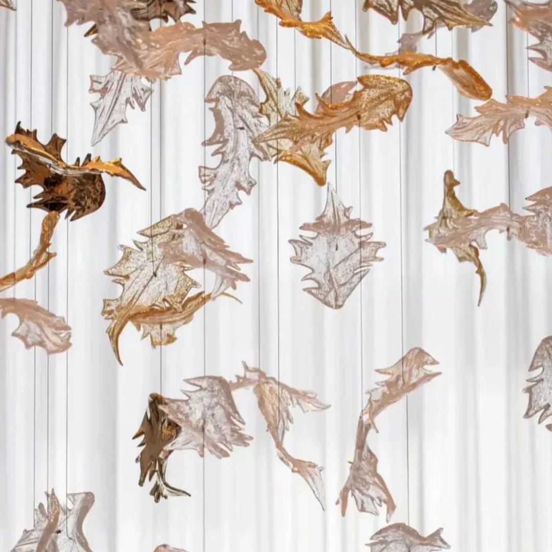 Doco Shadows And Patterns